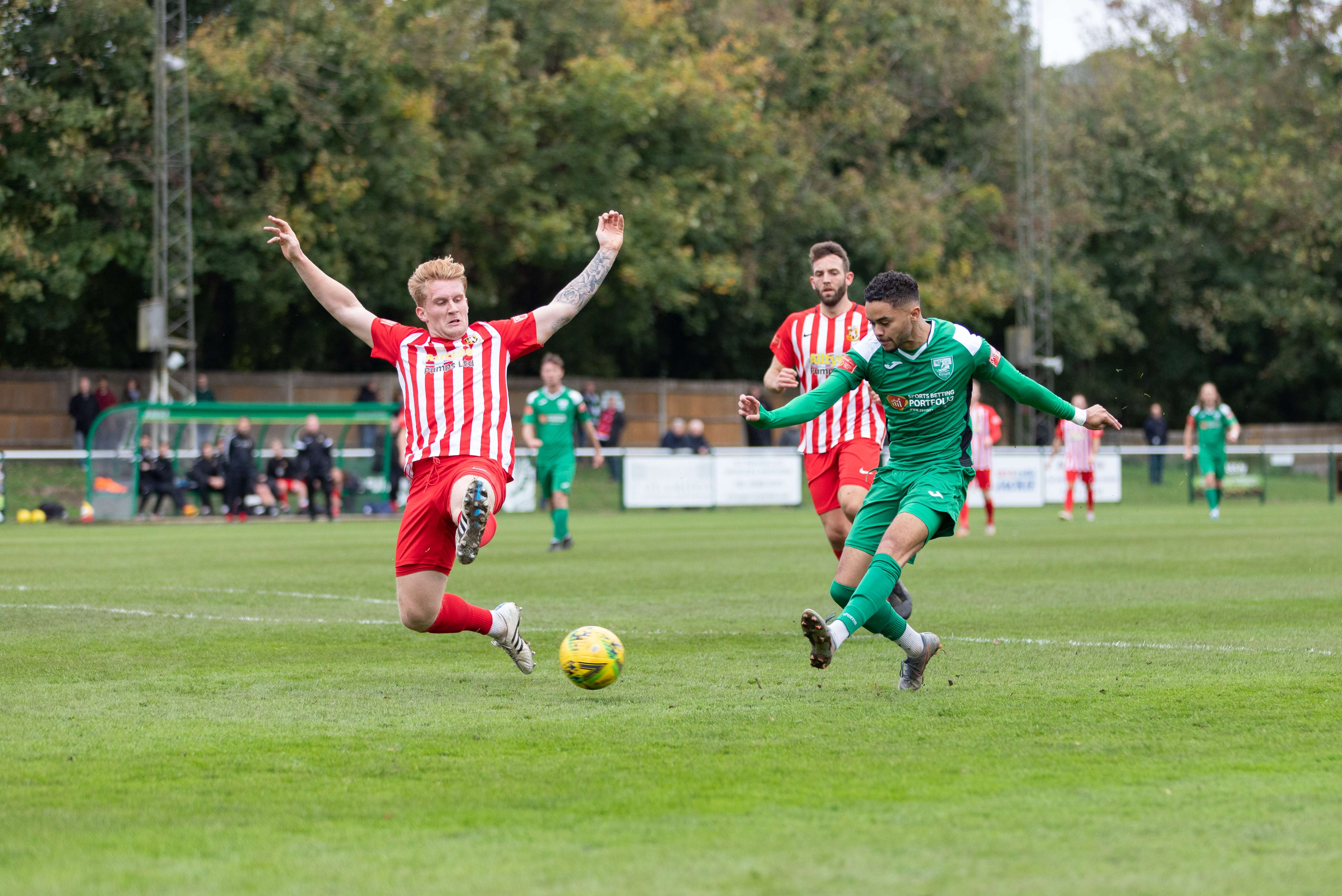 Ticket Home | Leatherhead FC Web